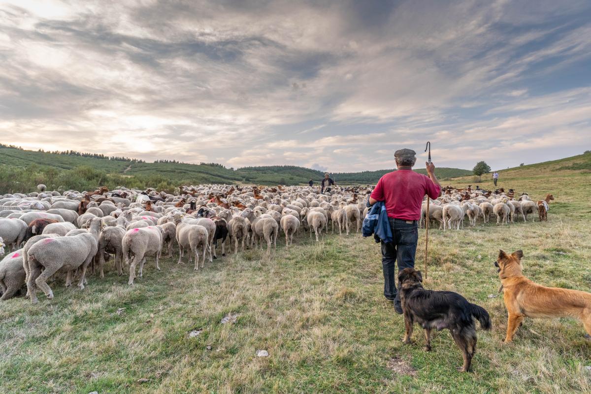 Prioro | Turismo montaña de Riaño